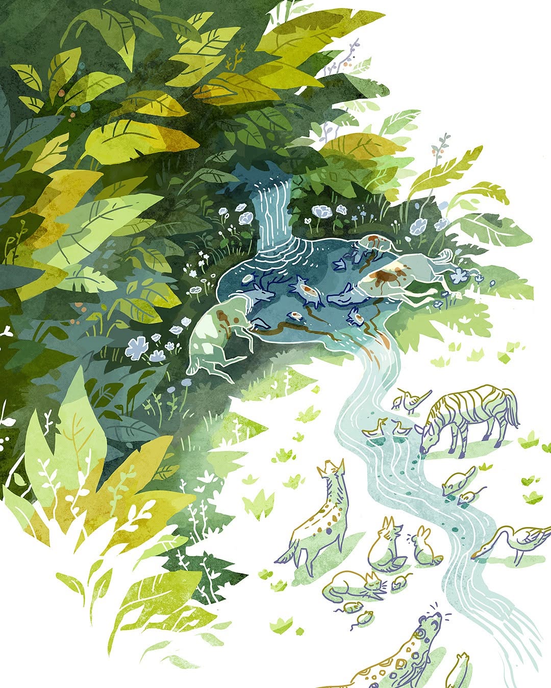 Huion Community